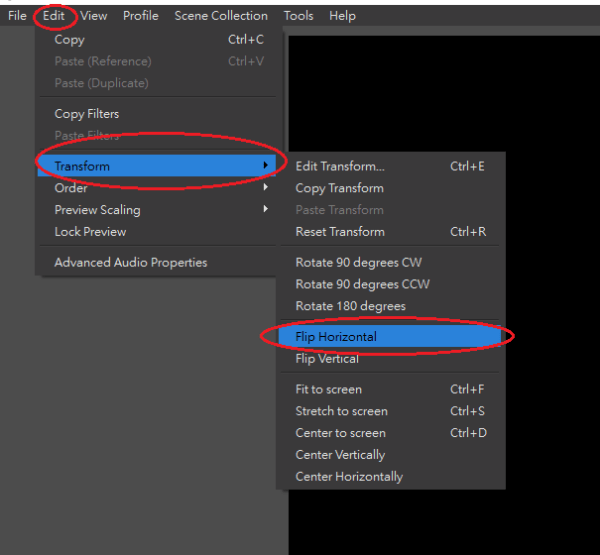 OBS Virtual Camera: Useful Tool for Distance Learning and Online ...